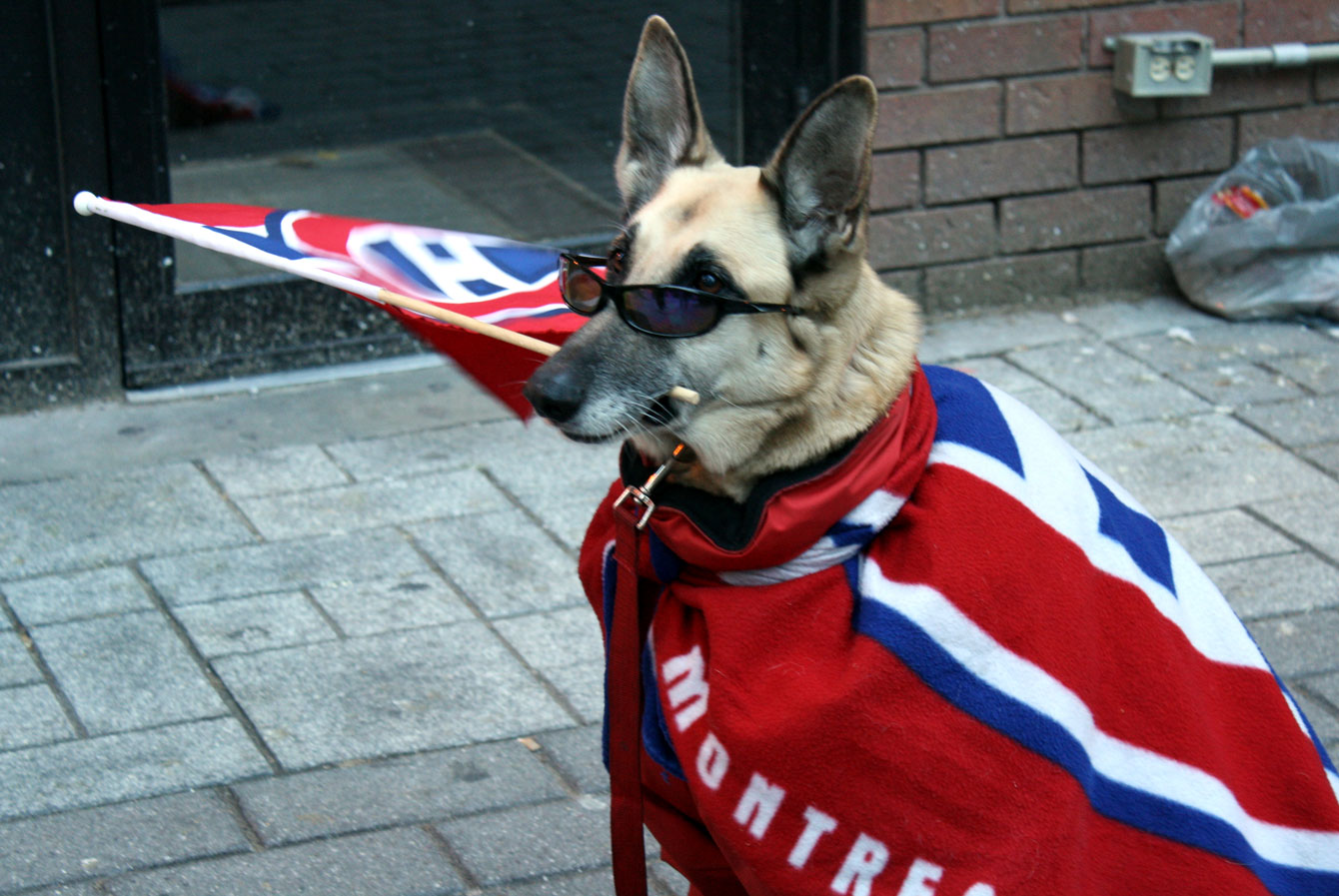 Moment of paws: Canadian sports pets - Team Canada - Official Olympic ...