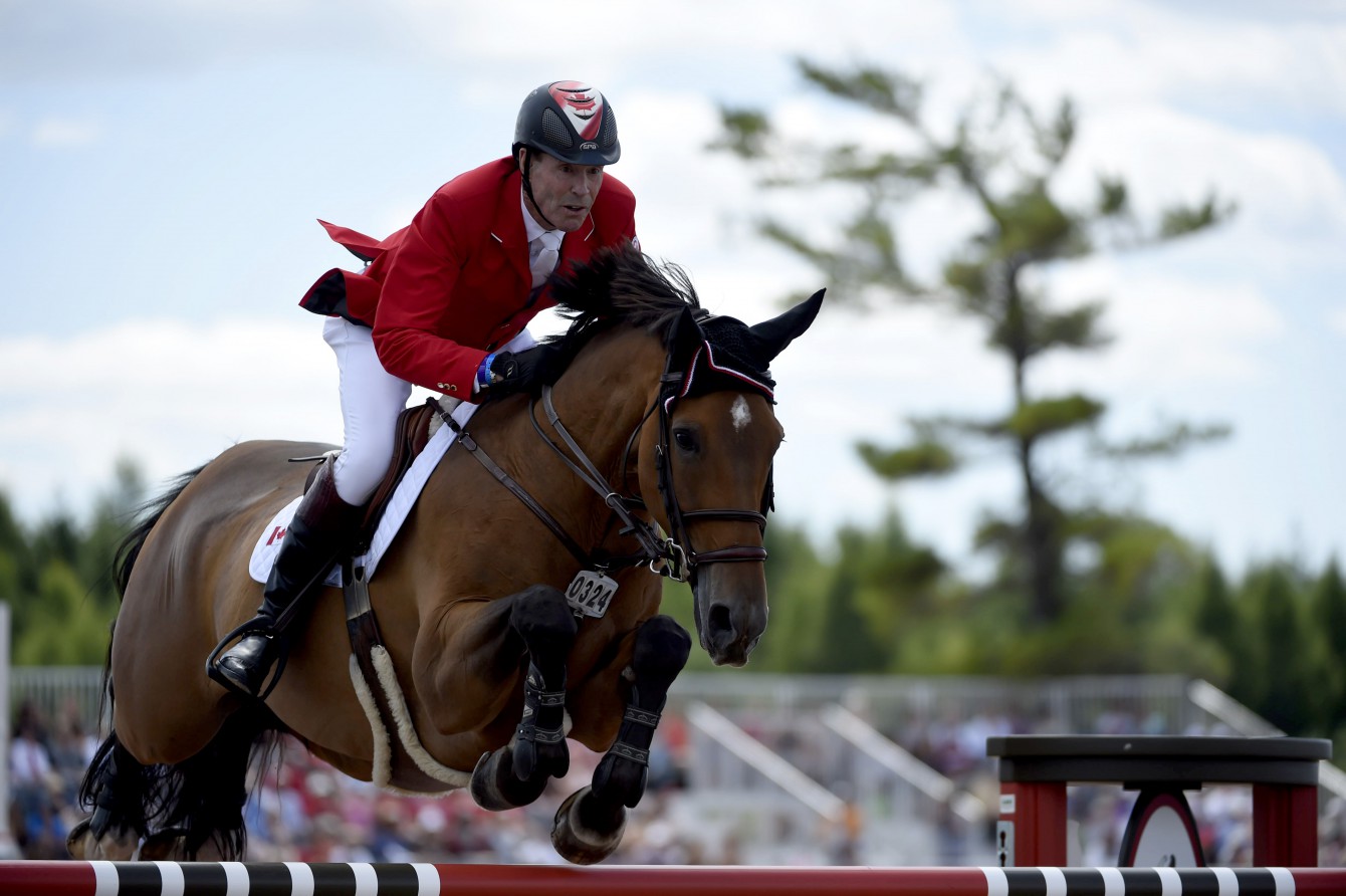 Help Build an Olympian: Nutrition fuels equine athletes as Team Canada ...