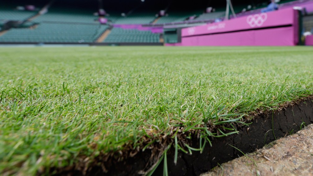 Wimbledon’s gorgeous grass has a Canadian touch | Team Canada ...