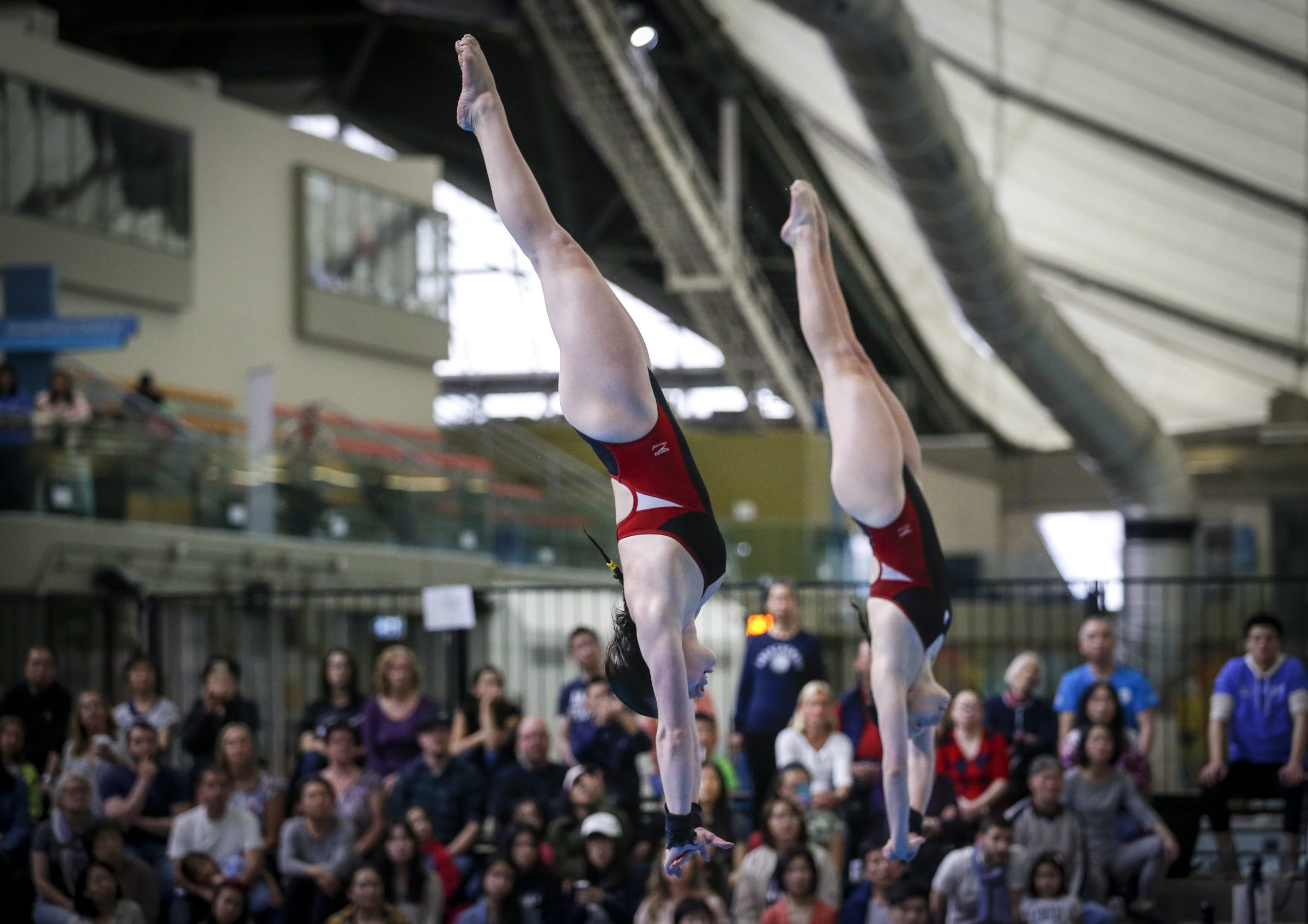 Canadian divers plunge to the podium at Diving Grand Prix - Team Canada